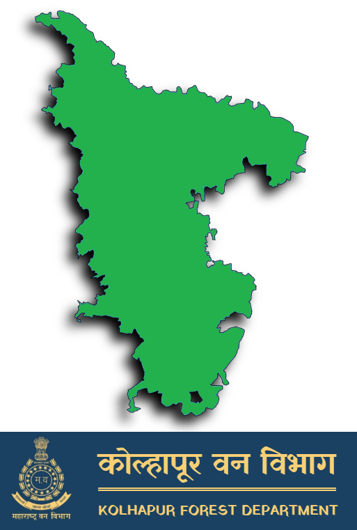 Kolhapur Forest Department – Official Website | Eco-Tourism & Online ...